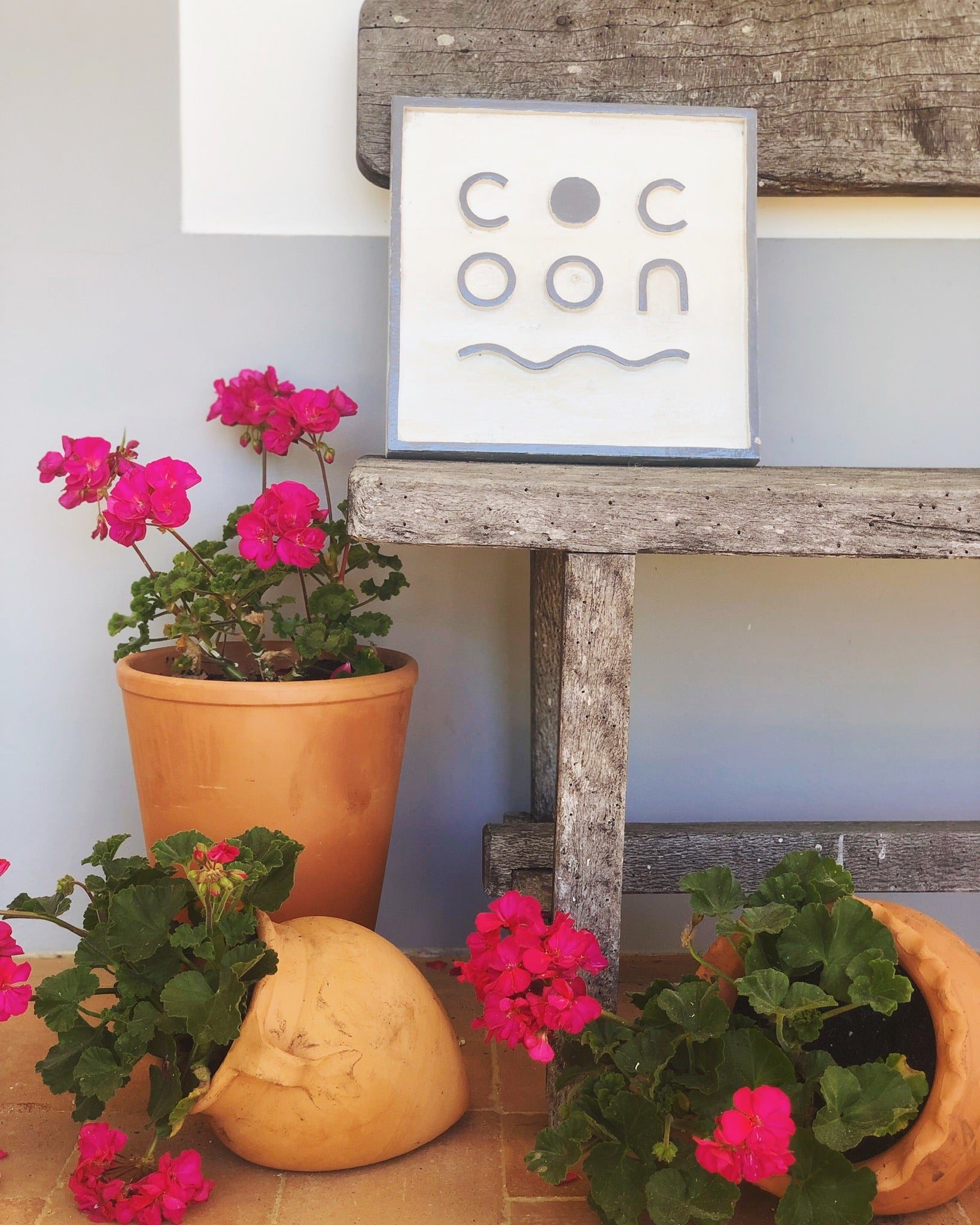 Visiting Cocoon Portugal – State of Salt